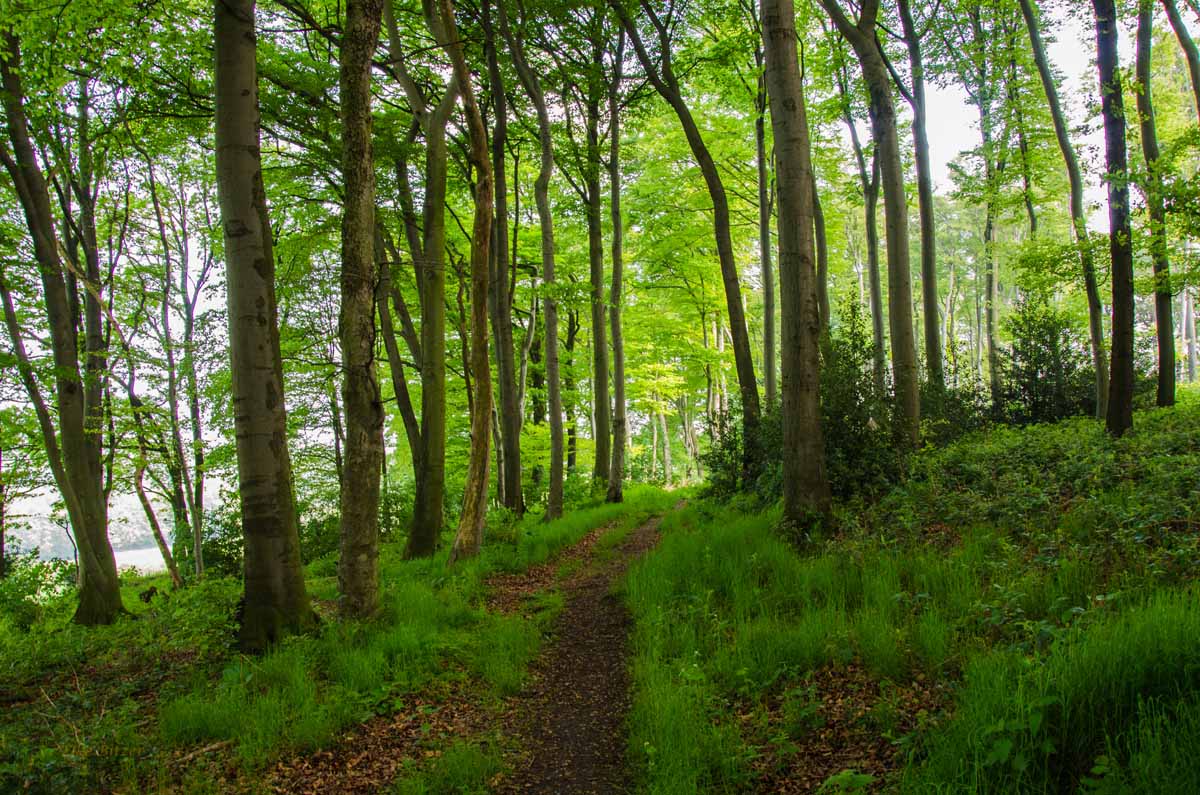 Von Hof zu Hof - Fotografische Reisen und Wanderungen in Deutschland ...