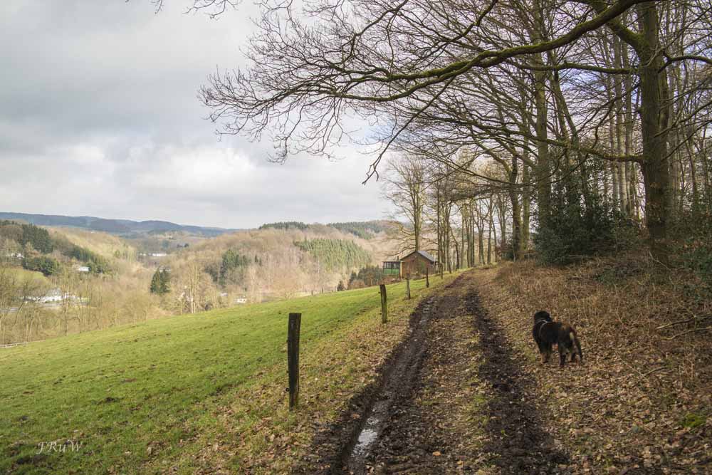 Wege rund um das Freilichtmuseum Lindlar - Fotografische Reisen und ...