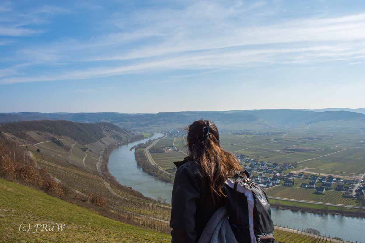 Wandern in der Moselschleife von Trittenheim - Fotografische Reisen und ...