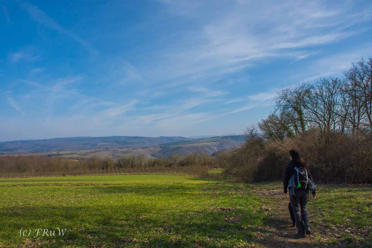Wandern in der Moselschleife von Trittenheim - Fotografische Reisen und ...