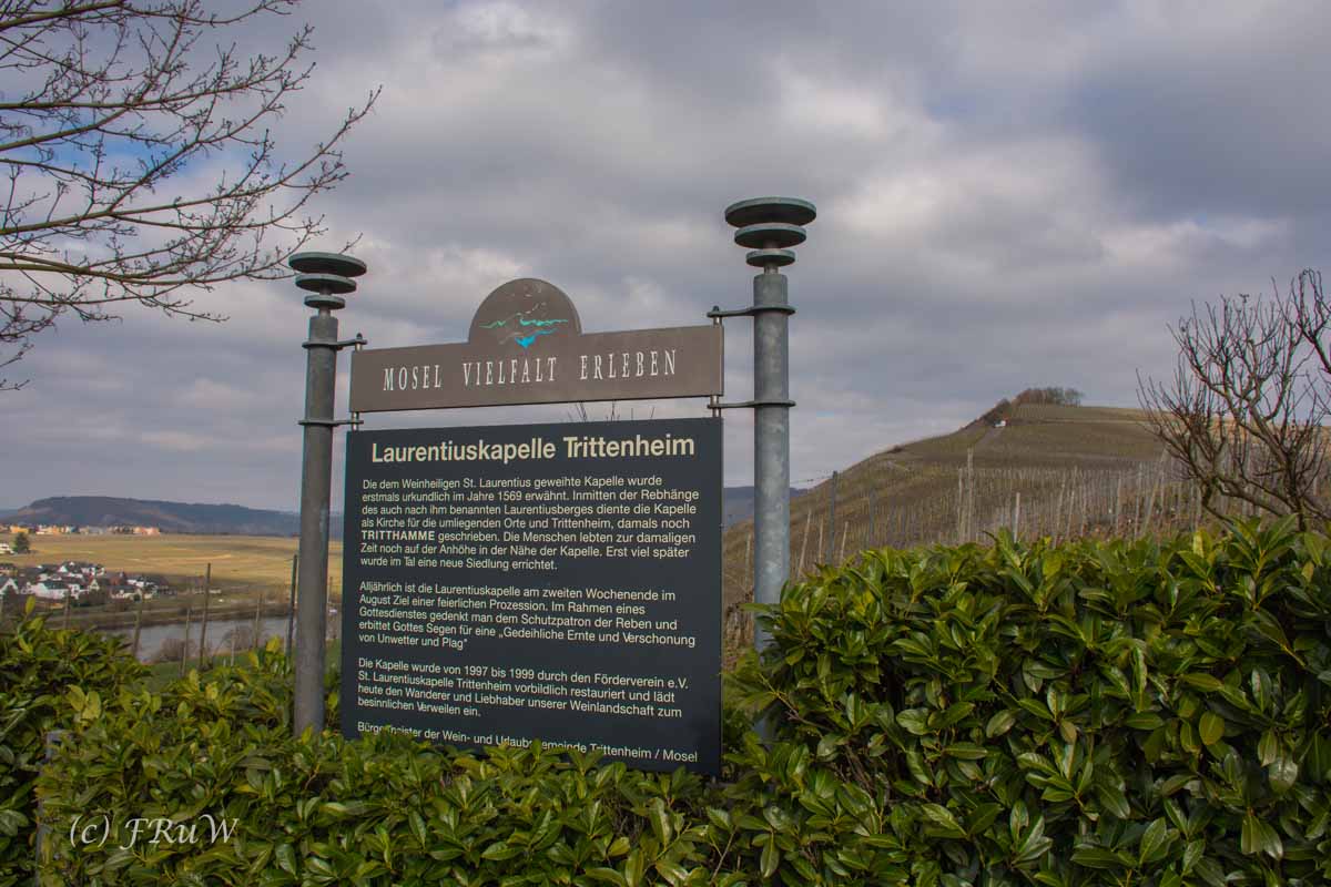 Wandern in der Moselschleife von Trittenheim - Fotografische Reisen und ...