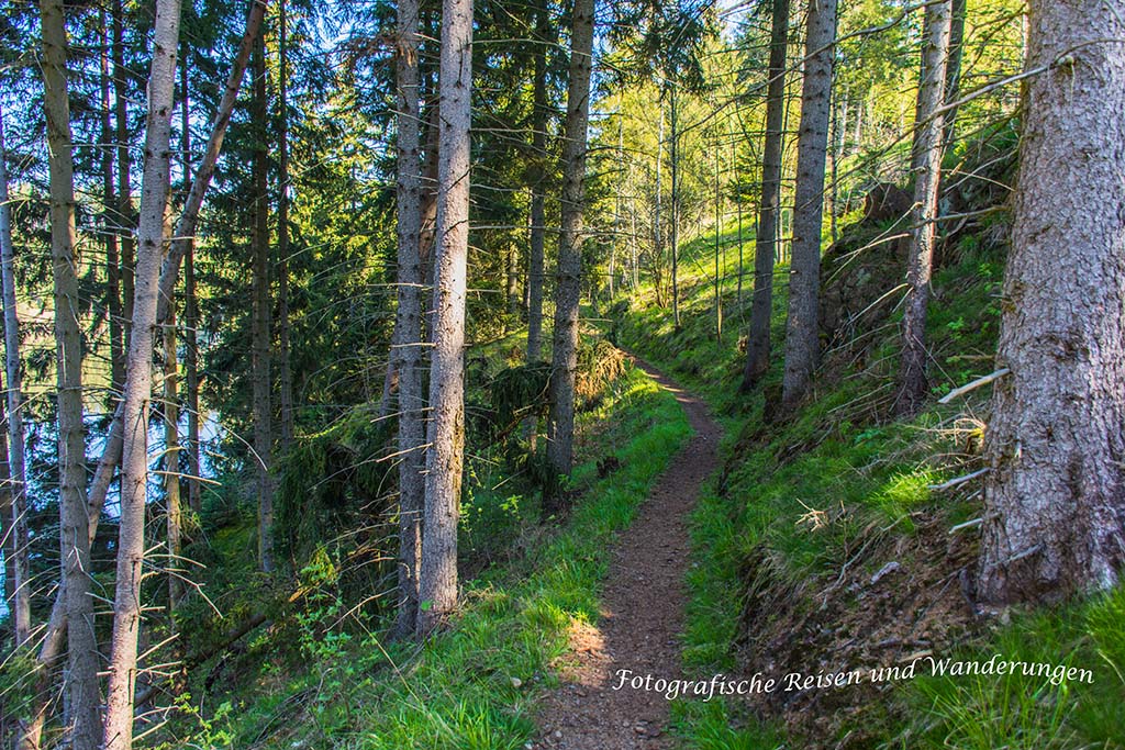 Rund um die Vorsperre der Rappbodetalsperre - Fotografische Reisen und ...