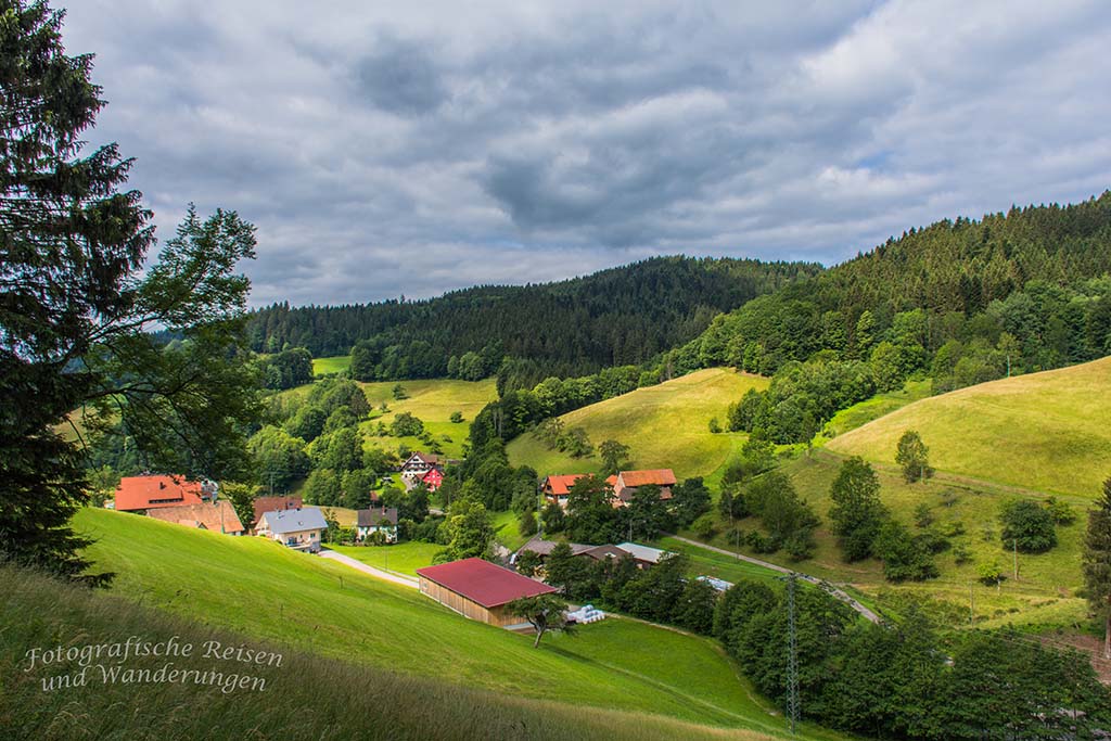 Schwarzwälder Wandersinfonie - Heute der Wiesensteig - Fotografische ...