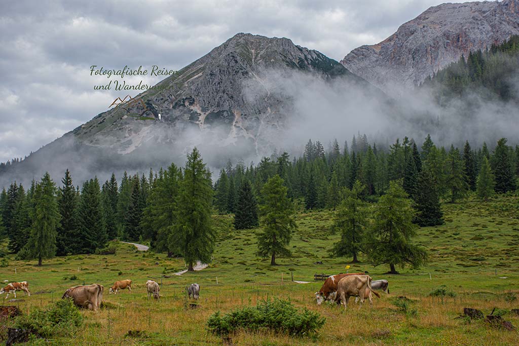 Naturparadies Gaistal bis nach Ehrwald - Fotografische Reisen und ...