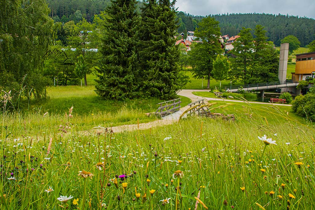 Klosterreichenbach - Ausflug in Baiersbronn - Fotografische Reisen und ...