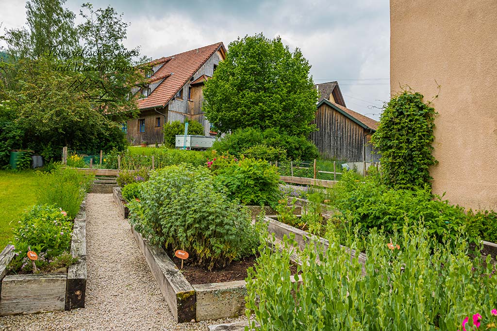Klosterreichenbach - Ausflug in Baiersbronn - Fotografische Reisen und ...