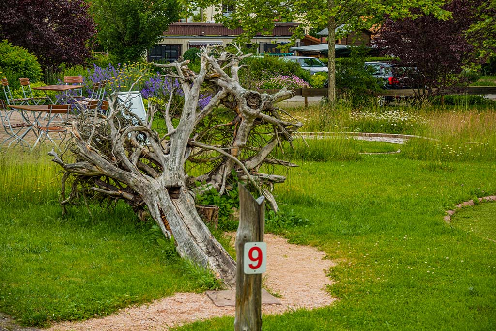 Klosterreichenbach - Ausflug in Baiersbronn - Fotografische Reisen und ...