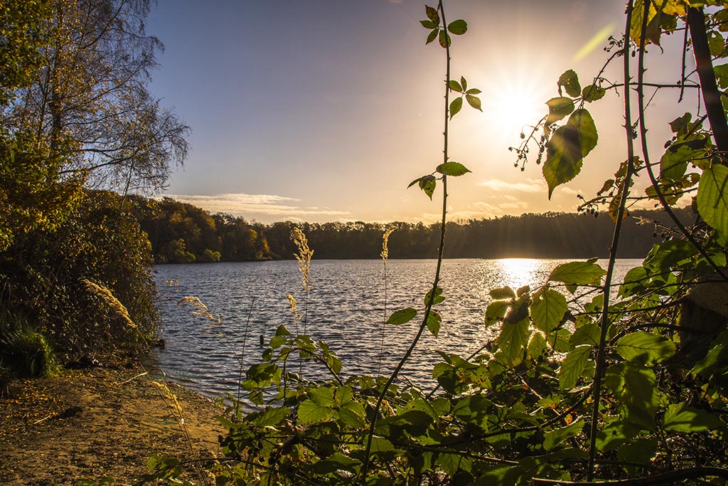 Von-Diergardt-See - Idylle und Müllabladeplatz - Fotografische Reisen ...